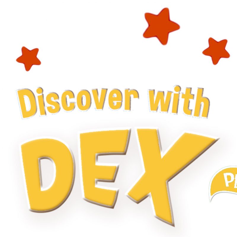 Dex Plus - Macmillan - Macmillan