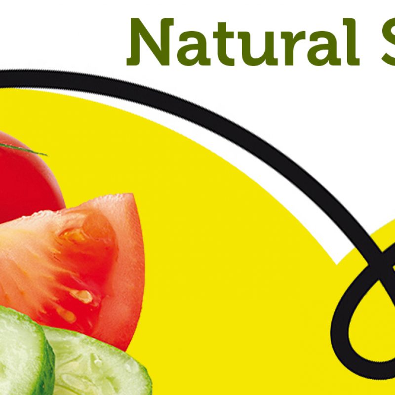 Natural Science - Macmillan - Macmillan